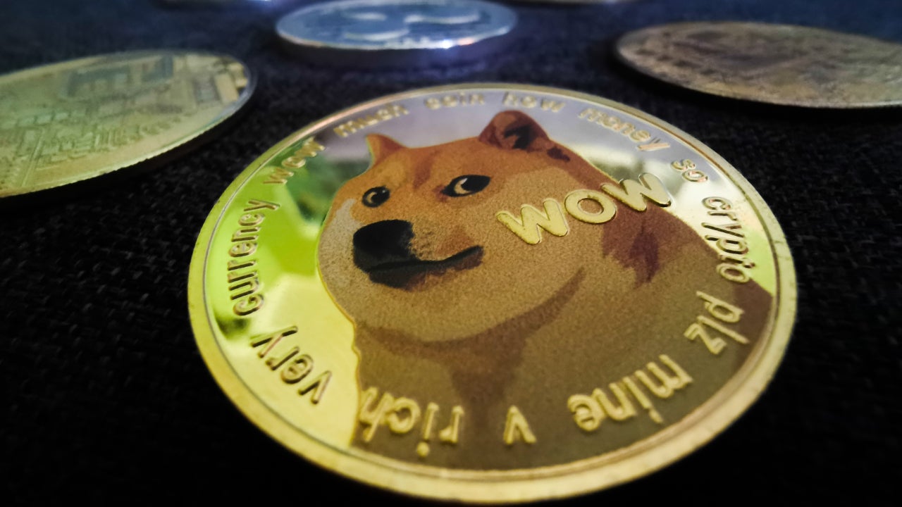 Dogecoin's 17% Spike A Musk-Induced Surge or Cautious Investment ...
