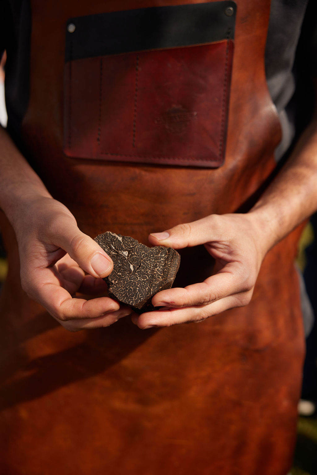 Reimagined Truffle Kerfuffle Calls for Committee Members - Financial News